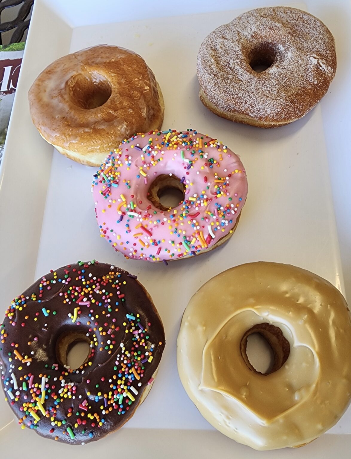 Home - gonutsondonuts.co.nz